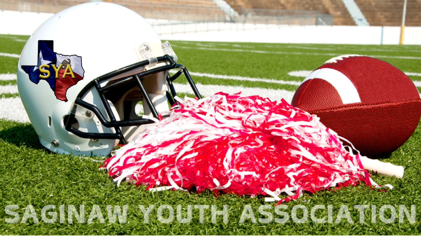 Saginaw Youth Association – Saginaw Youth Association